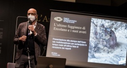 99-million-year-old fossil shows how ants hunted haberi - Arkeolojik ...